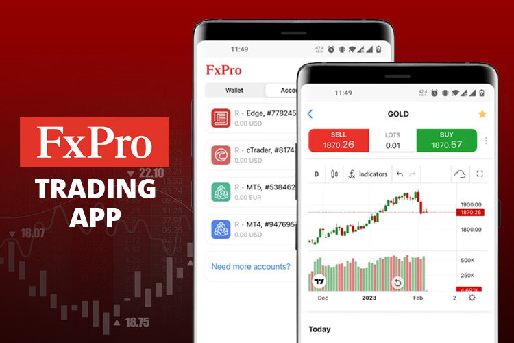 FxProのアカウントの種類：トレーダーに適した選択肢